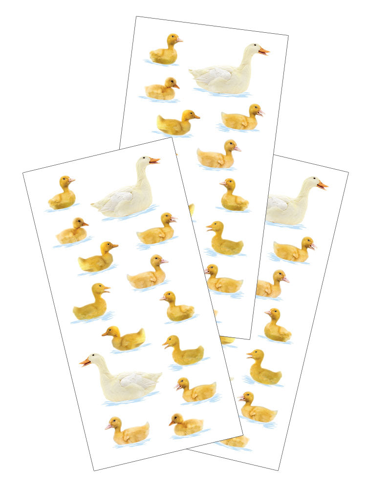 2425E - STICKER - DUCKS SWIMMING – McBeth Corporation