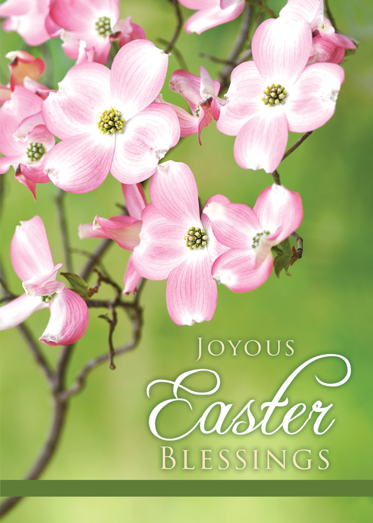 G3794 - HOPE OF EASTER - EASTER - KJV – McBeth Corporation