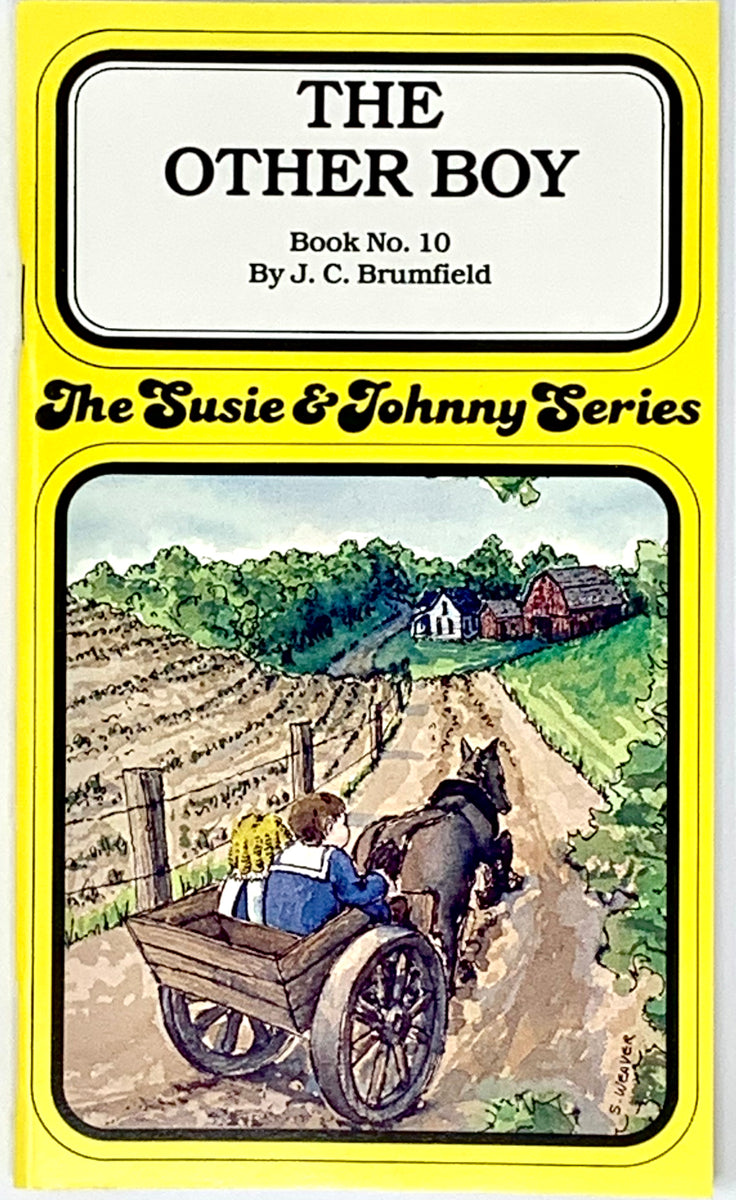 50446 THE SUSIE & JOHNNY SERIES BOOK #10 "THE OTHER BOY" – McBeth ...