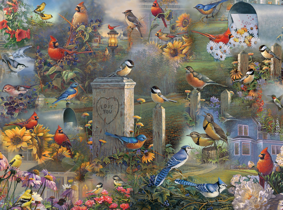 SONGBIRD COLLAGE - 1000 PC PUZZLE - 51979 – McBeth Corporation